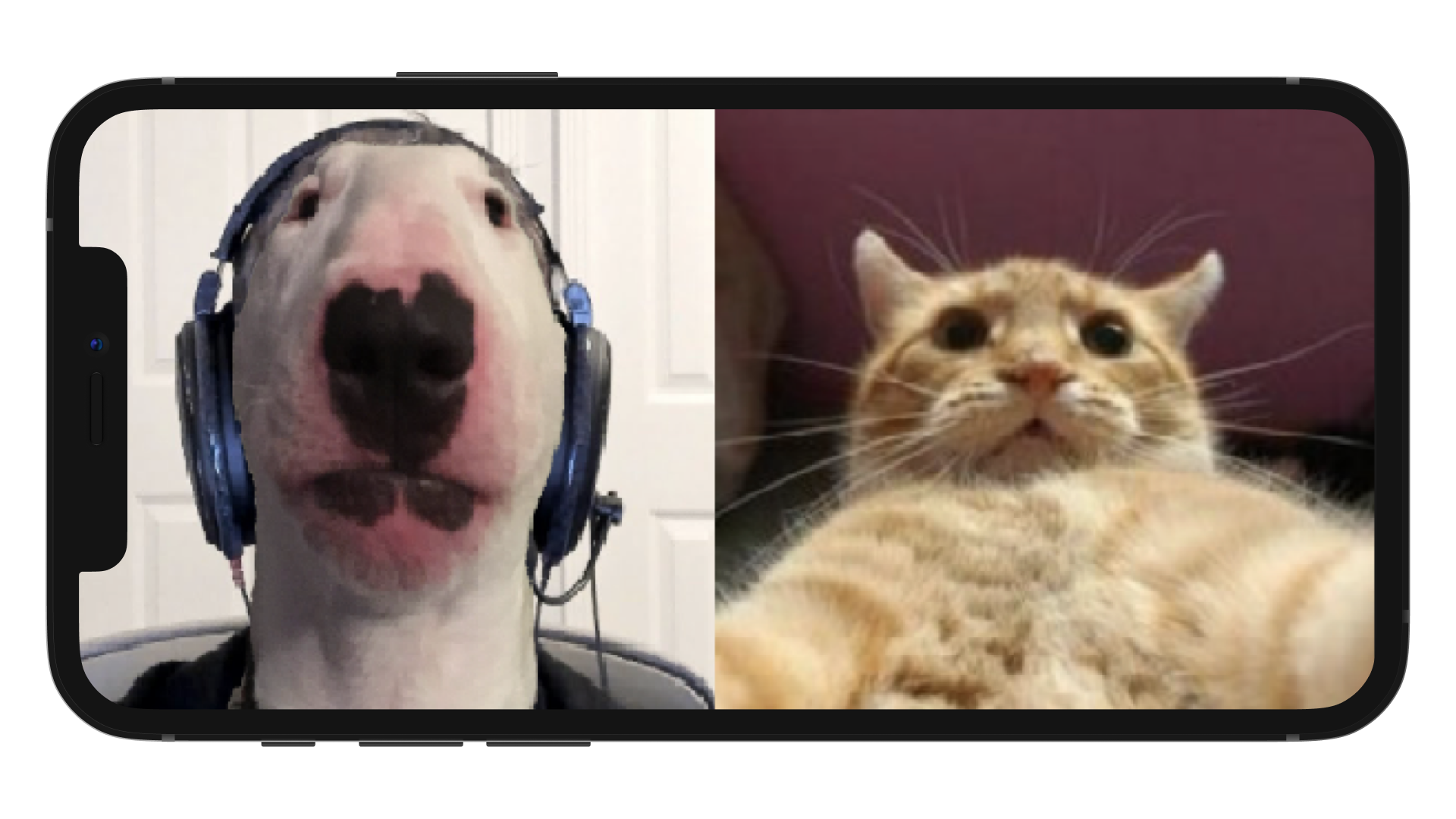 Video Chat in Flutter Using WebRTC