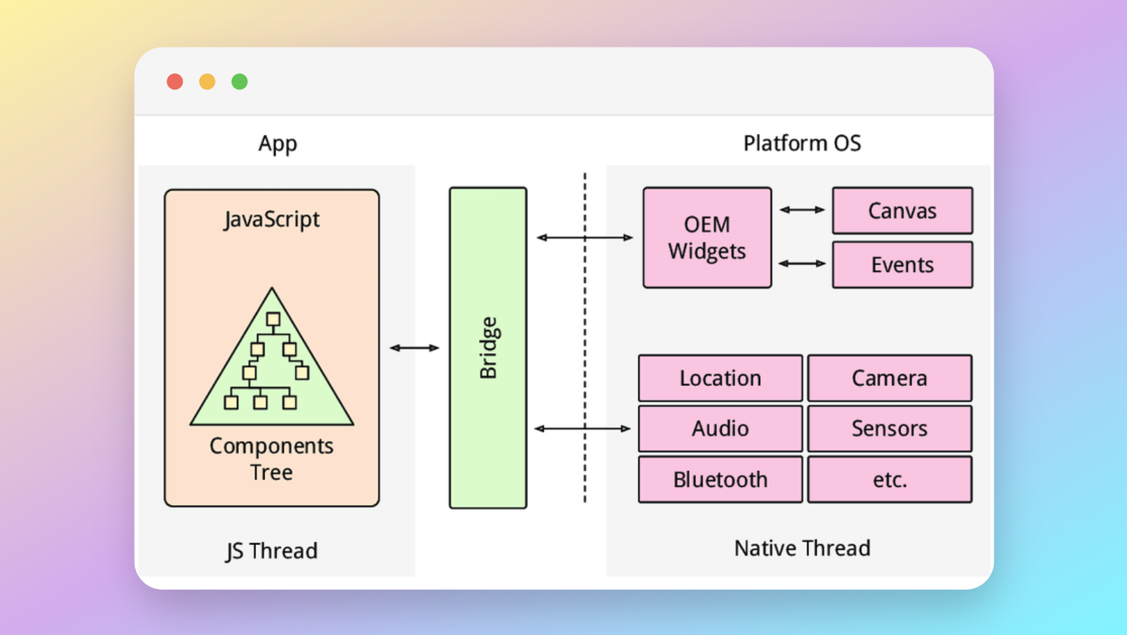 Flutter vs React Native: Which Framework Wins in 2024?